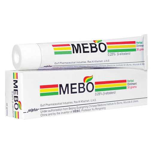 Mebo Mebi Ointment 15g | PnP